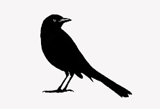 Festival El Zanate de Oro